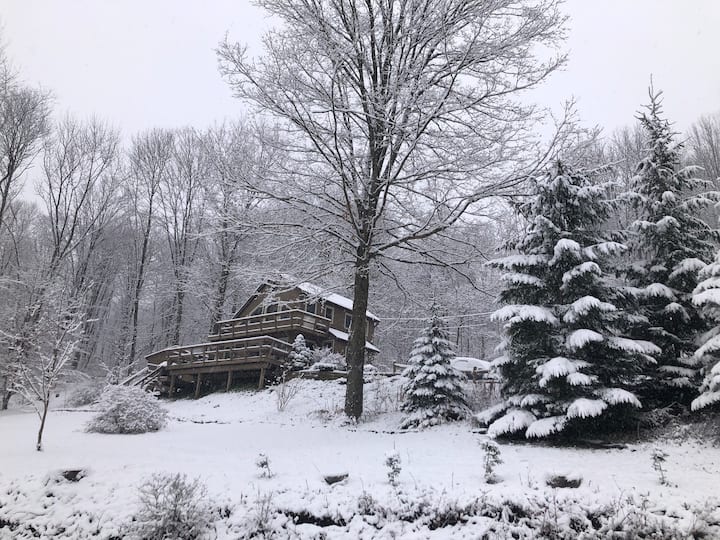 Cozy Cabin In The Woods - Holiday Valley Resort, NY