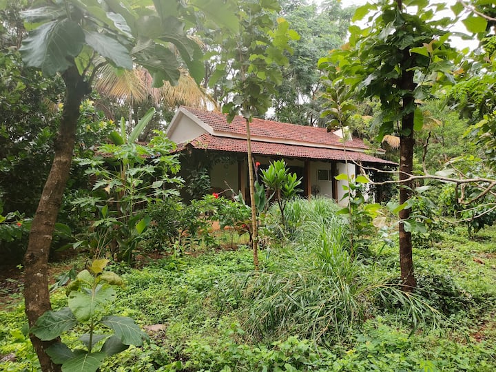 Hoopoe House - Cosy Farm Stay Cottage Near Mysore - Mysore