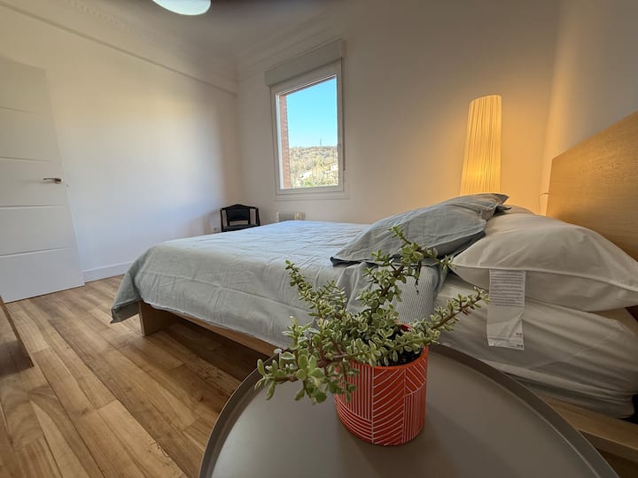 Basauri Laga Con Terraza - Basauri