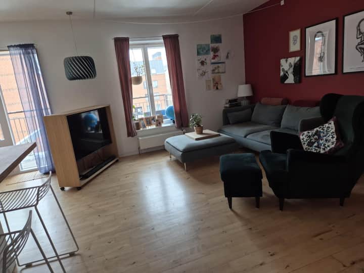 Lovely, Cozy Apartment In The Heart Of Copenhagen! - Copenhaguen
