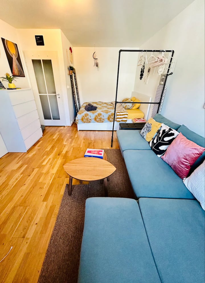 Traveller Studio Apt, 10min To Central Station Sbb - Basel