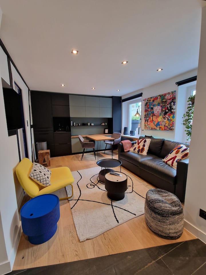 Appartement Dans Une Maison Au Centre Ville - Estrasburgo
