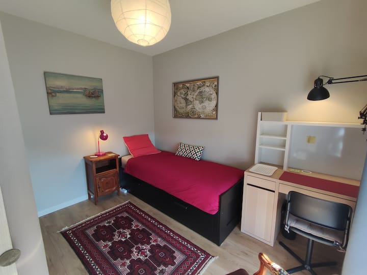 Jolie Chambre à 600m De La Gare De Saint-pierre /3 - Tours