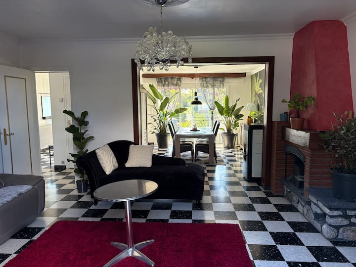 Villa Familiale Avec Spa Privatif –Jacuzzi & Sauna - Sedan