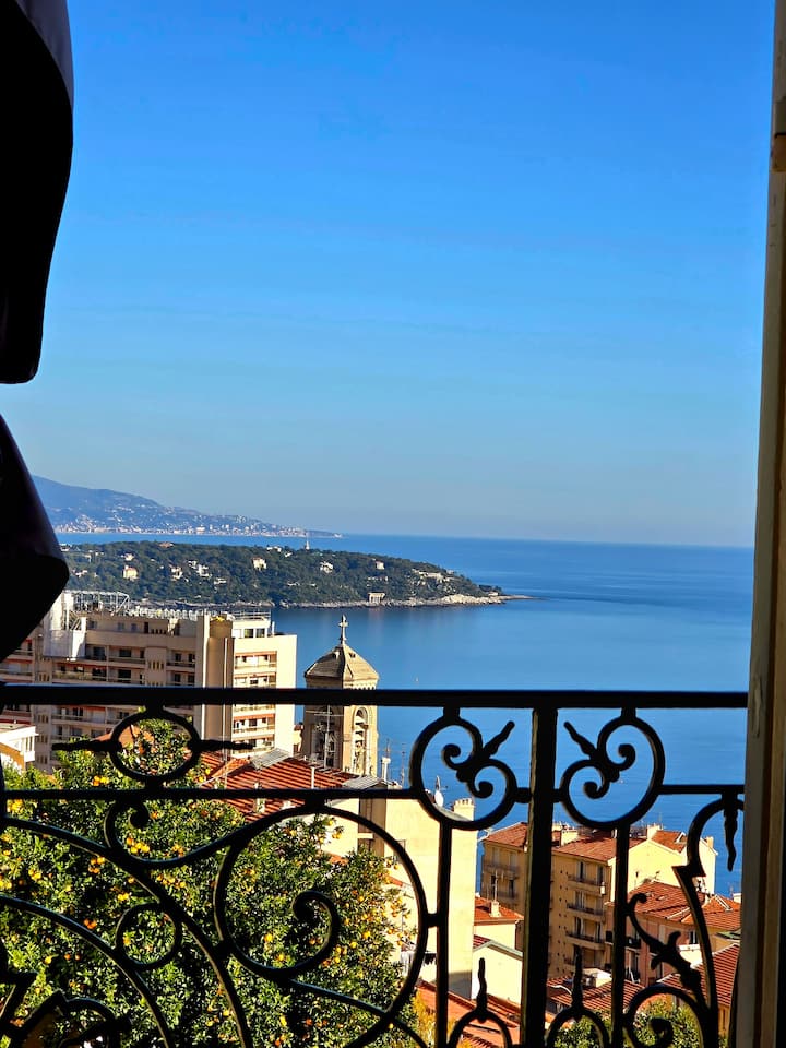 Vue Calme Confort Wifi Clim Beausoleil/monaco 4 P - Plage de Monaco (Larvotto)