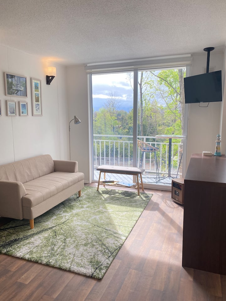 Mountain View Apartment - Pucón