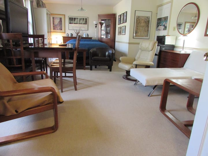 2bedrms!poolrm.7acres!porch!prkng.fun Art!mahogany - Durham, NC