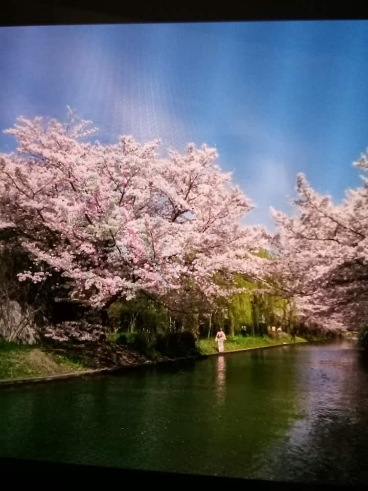 京都駅〜近鉄電車11分。庭付き和風寝室と町家カフェ併設。駅近で安全清潔な下町の宿。コンビニ徒歩1分! - 八幡市