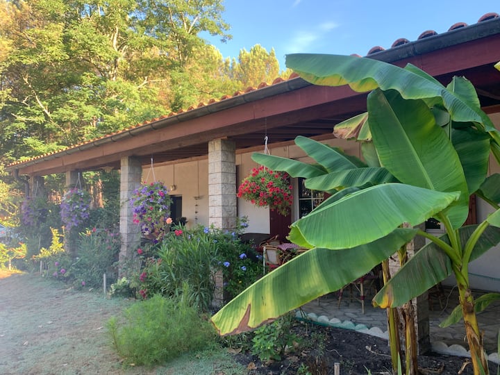 Maison De Campagne Dans La Pinède - Carcans