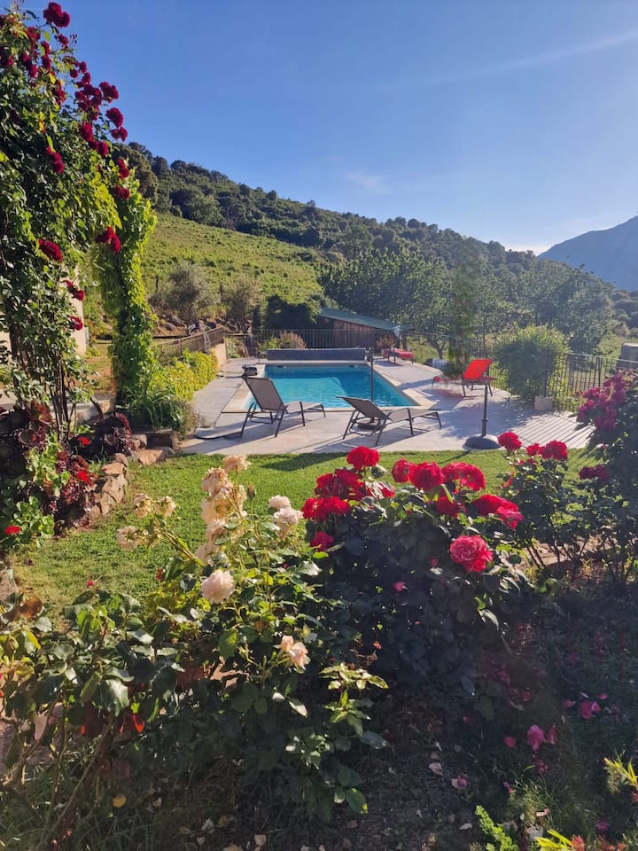 Chambre O Mà Avec Salle De Bain Privée.voir Photo - Calenzana