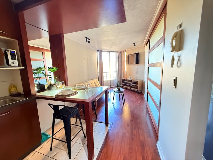 Apartamento Súper Cómodo Bellas Artes Santiago - Santiago