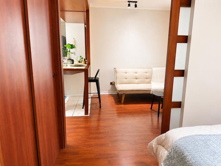 Apartamento Súper Cómodo Bellas Artes Santiago - Santiago, Chile