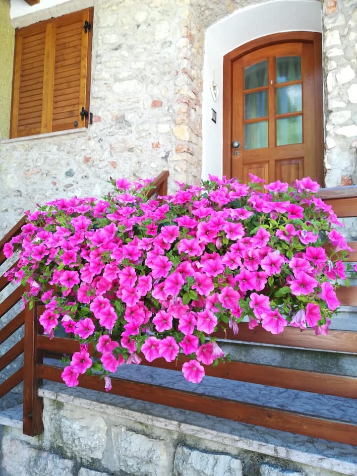 Accoglienza Da Patty, Relax E Natura. - Trentino