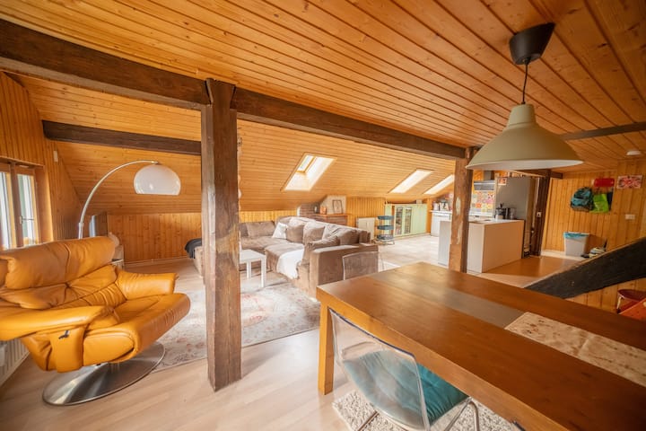 Familienfreundliche Wohnung Nahe Feldberg - Schluchsee