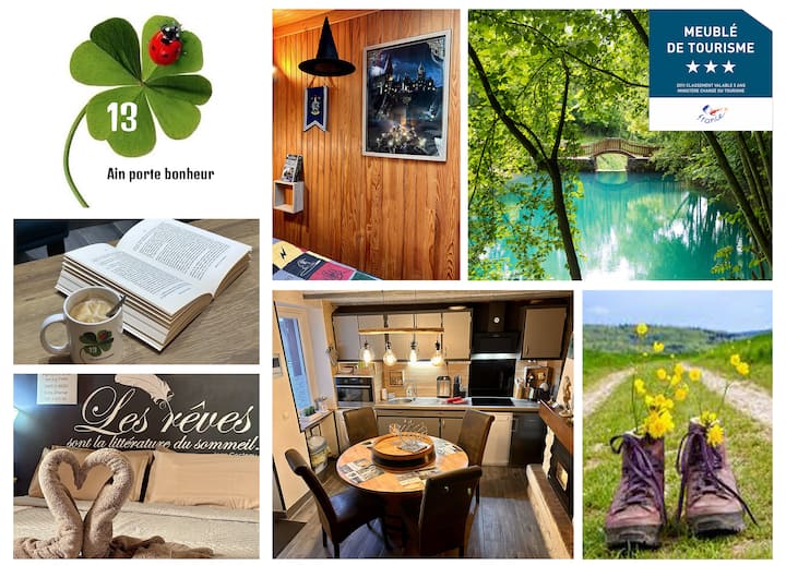 Ain Porte Bonheur Cocon Dans Le Bugey - Lagnieu