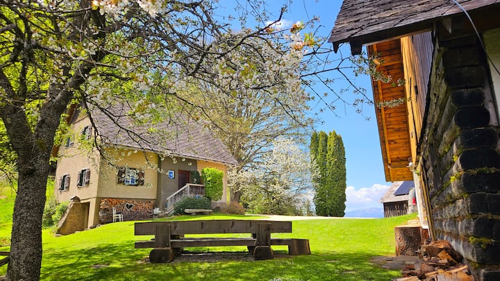 Roatmoaralm Alm Cabin For 1-9 People - Austria