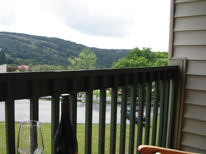 Spectacular Views-upscale- Pool- No Steps! - Beech Mountain, NC