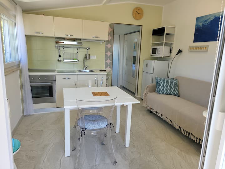 Apartment Dana 3 - Rovinj