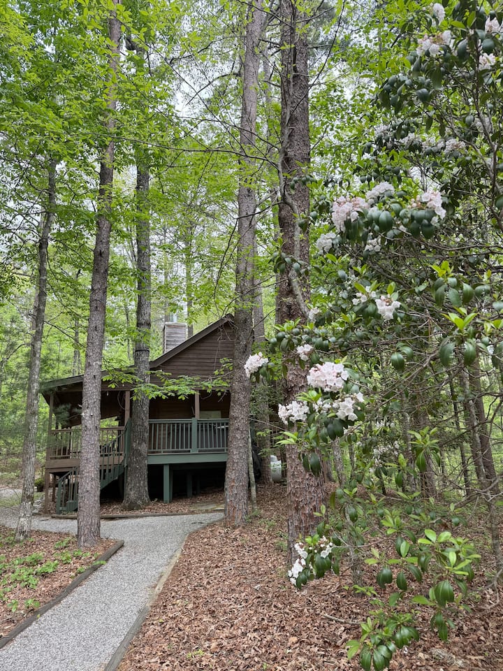 The Firefly - King Bed + Hot Tub + 6mi To Helen,ga - Sautee Nacoochee, GA