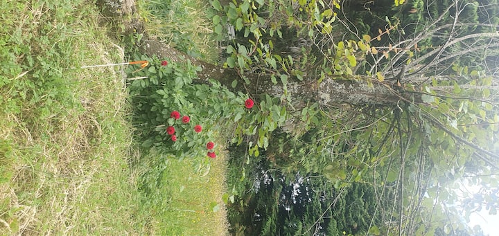 Simple Accomodations In Nature - Tūrangi