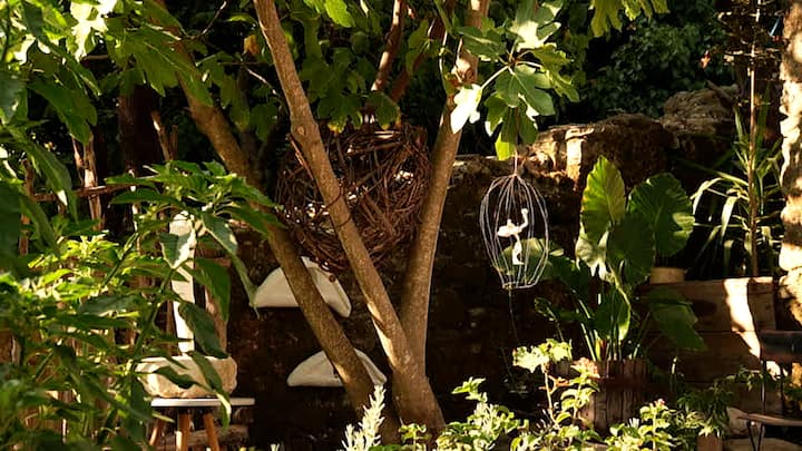 Espace D’artiste Vivant, Off-grid Lefkada - Lefkada