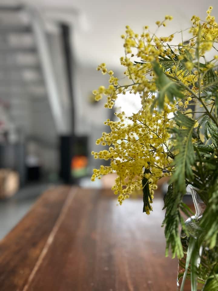 Maison Avec Piscine Bretagne - Lorient