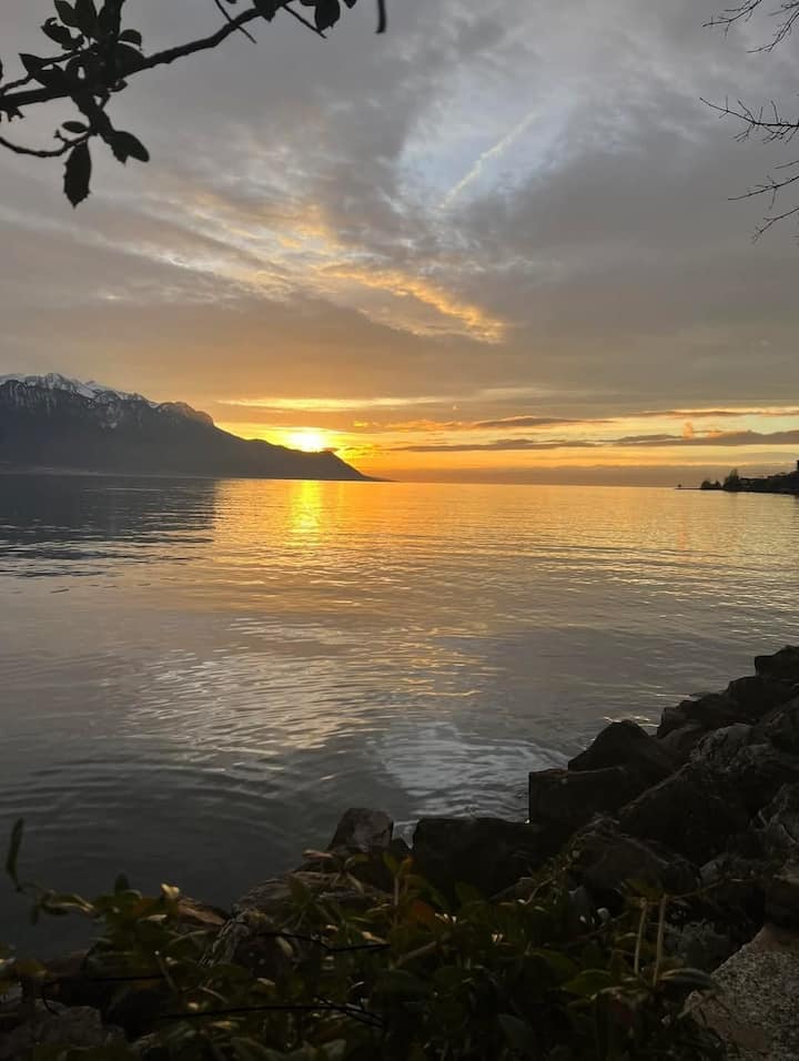 Chambre Avec 4 Lits - Vevey