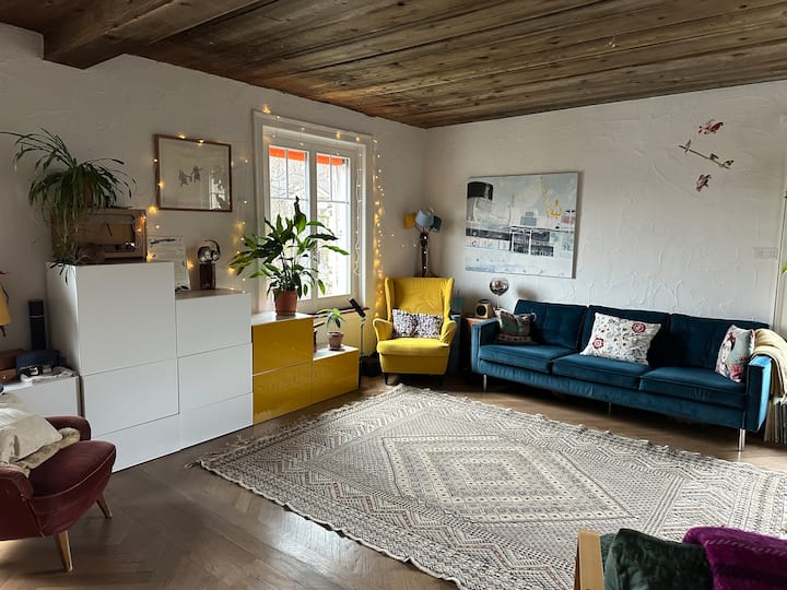 Charmante Zentrale Altbau Wohnung - Berna