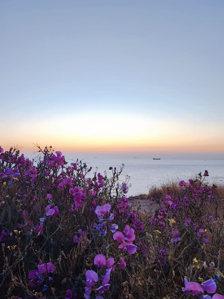 Maison Vue Mer Splendide Fenêtre Sur Mer - Équihen-Plage