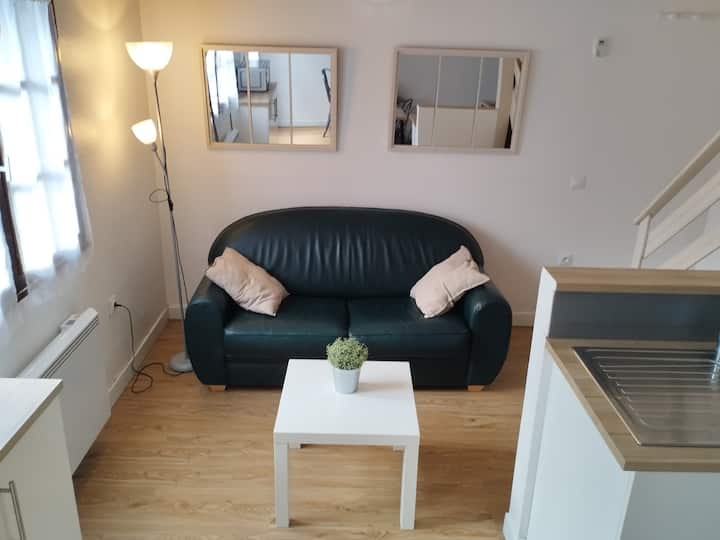 Studio Confortable De 32m2 à La Roche Posay. - La Roche-Posay