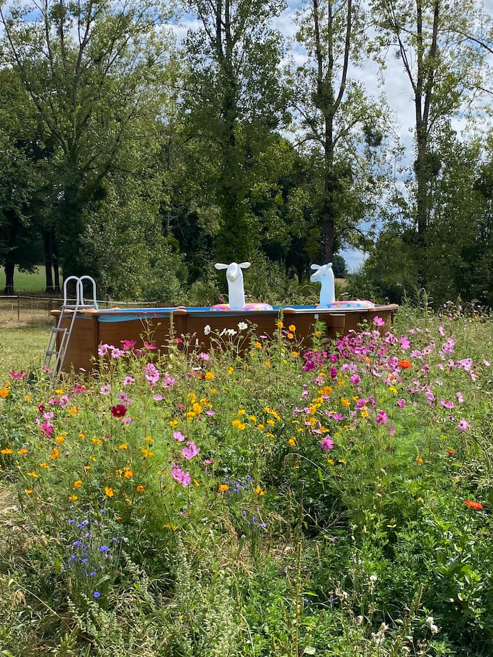 Dordogne Farm Stay | Llamas, Animals & Pool - Arnac-Pompadour