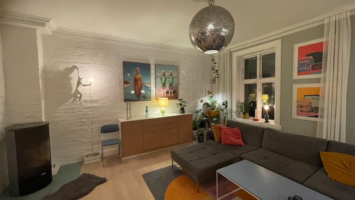 Spacious, Bright Apartment In The Best Location. - Oslo