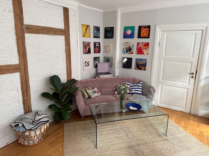 Charming Apartment In The Center Of Copenhagen! - Copenhague
