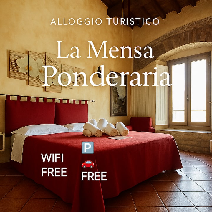 Studio Con Terrazza In Piazza Del Duomo, Tivoli - Tivoli