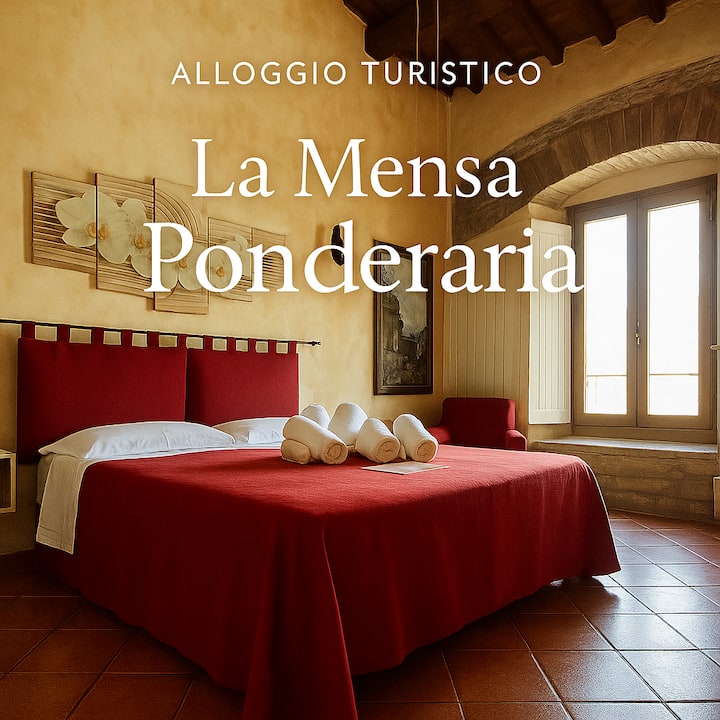 Studio Con Terrazza In Piazza Del Duomo, Tivoli - Tivoli