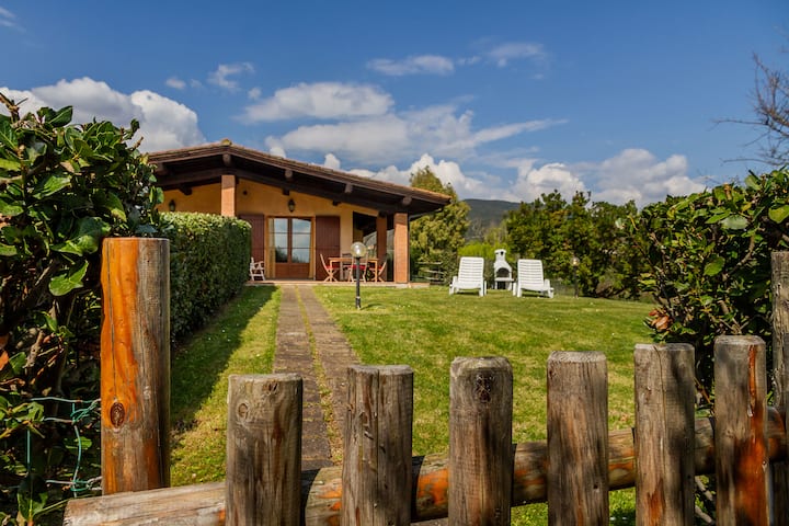 Ansonica - Castiglione della Pescaia