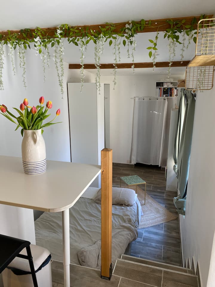 Studio à 30 Mn Du Centre De Paris - Nogent-sur-Marne