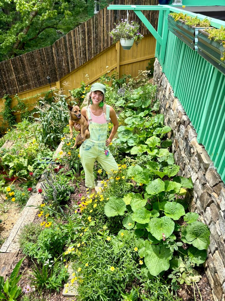 Luxe Eco Retreat~hot Tub~walk Dt~fire Pit~gardens - Asheville, NC