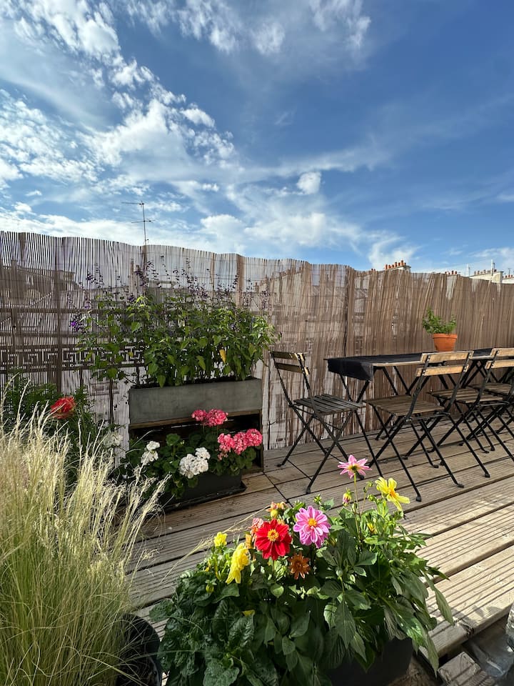 Terrace In Le Marais With Air Conditioner - Paris