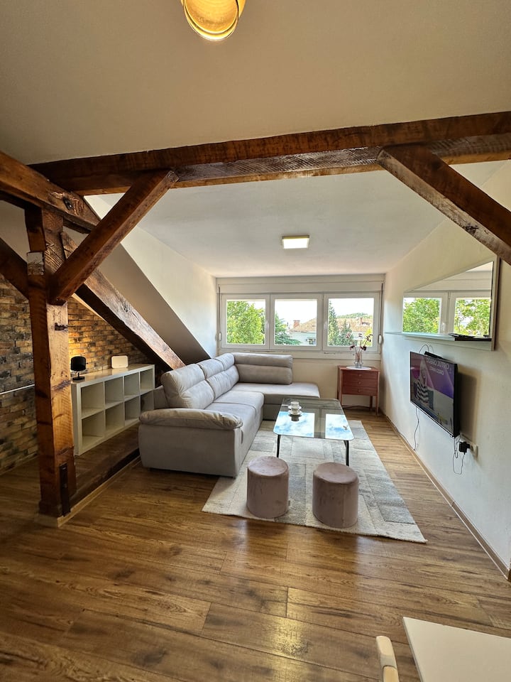 Rustic, Warm Cozy2br Apartment In The City Centre - Podgorica