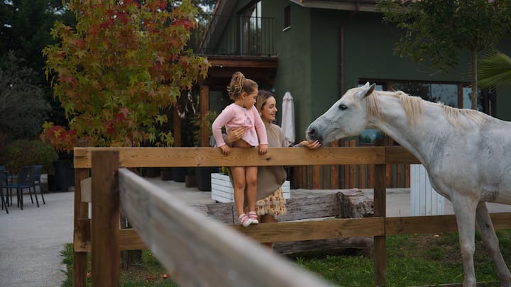 Familiar - Santillana del Mar