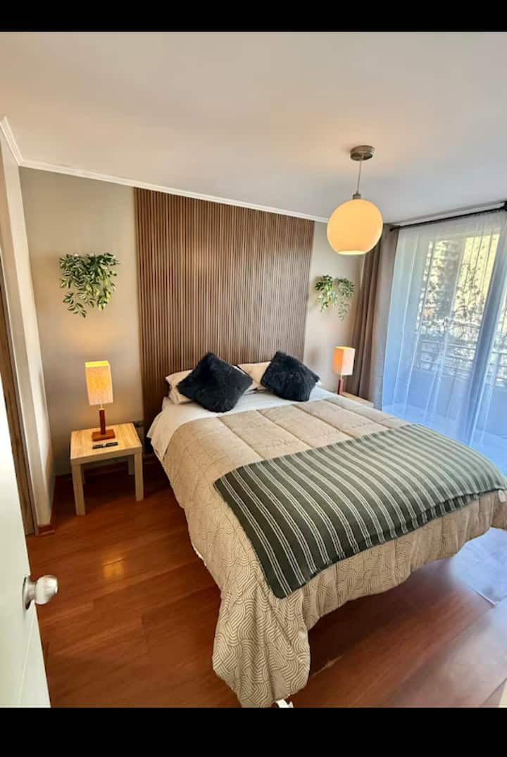 Gran Departamento En Santiago - Independencia
