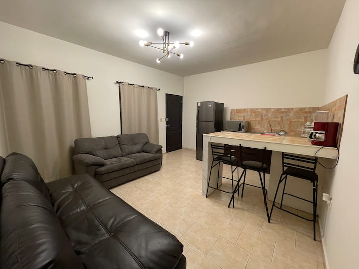 Depa 4: Frente Al Tec: Banorte/arena/ Fundidora - Monterrey