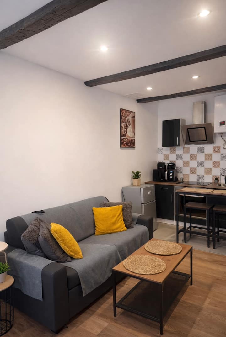 ⭐Studio Maison De Ville  Ste Marguerite-prado-ipc⭐ - Marseille