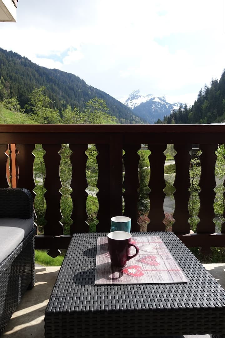 Appartement T2 Cabine à Proximité Des Pistes - Lac de Saint-Guérin