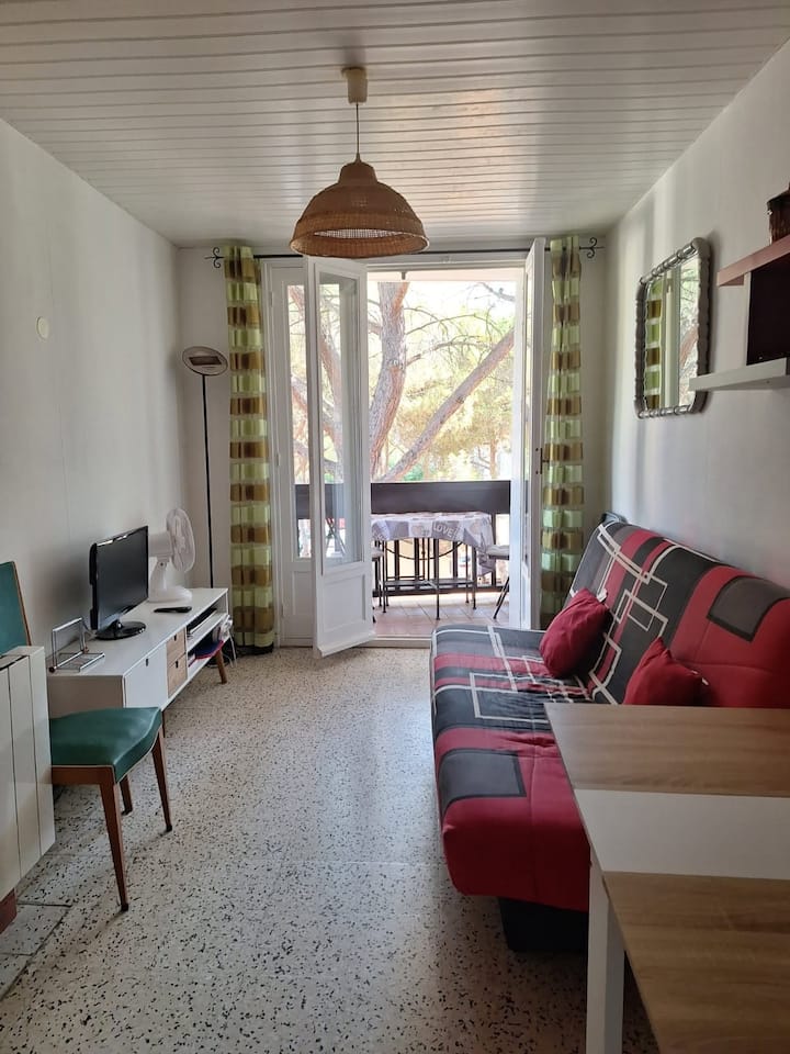 T2 Argelès-sur-mer à 50m De La Plage ! - Argelès-sur-Mer