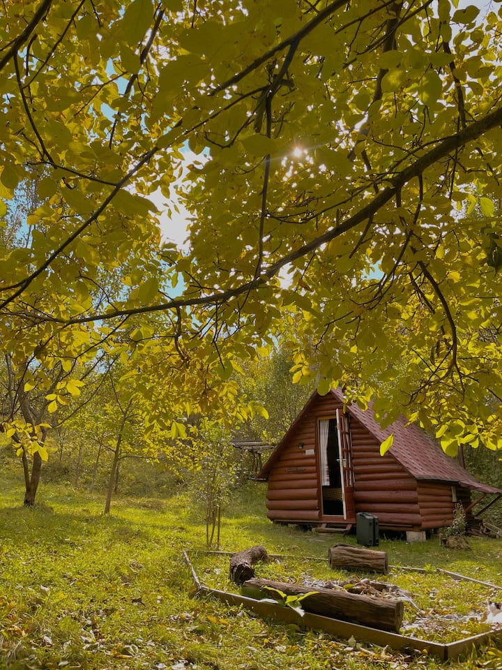Friendship Cabin (Friendship Land) - Dragoslavele