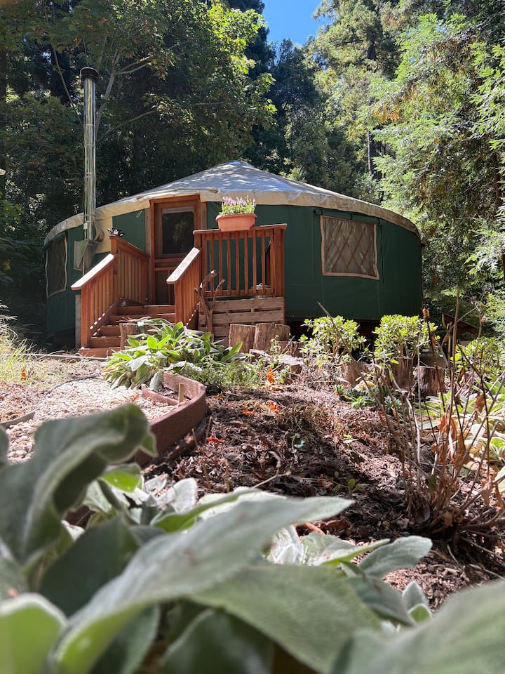 Amongst The Redwoods - Scotts Valley, CA
