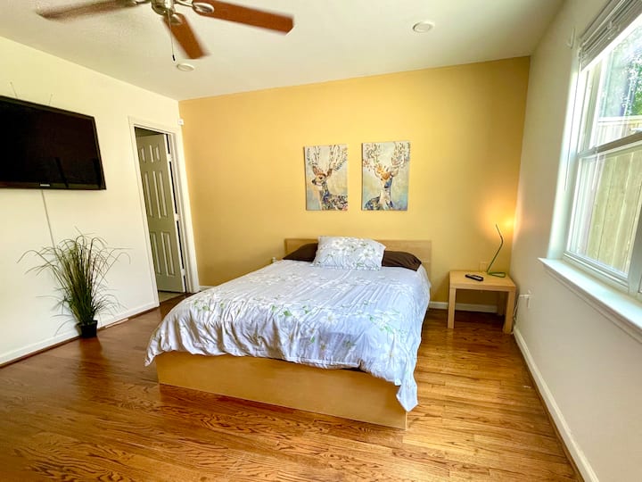 Modern Studio Apt |Gold Room|medical Center|hbu| - Stafford, TX