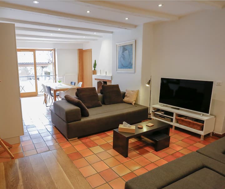 Appartement De Charme Au Cœur Du Centre Historique - Ibis Annecy - Cran-Gevrier